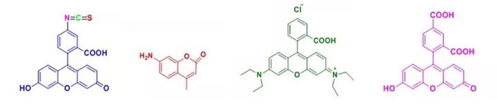 CY5.5-活性酯Cyanine5.5 NHS ester CAS:1469277-96-0 - 知乎