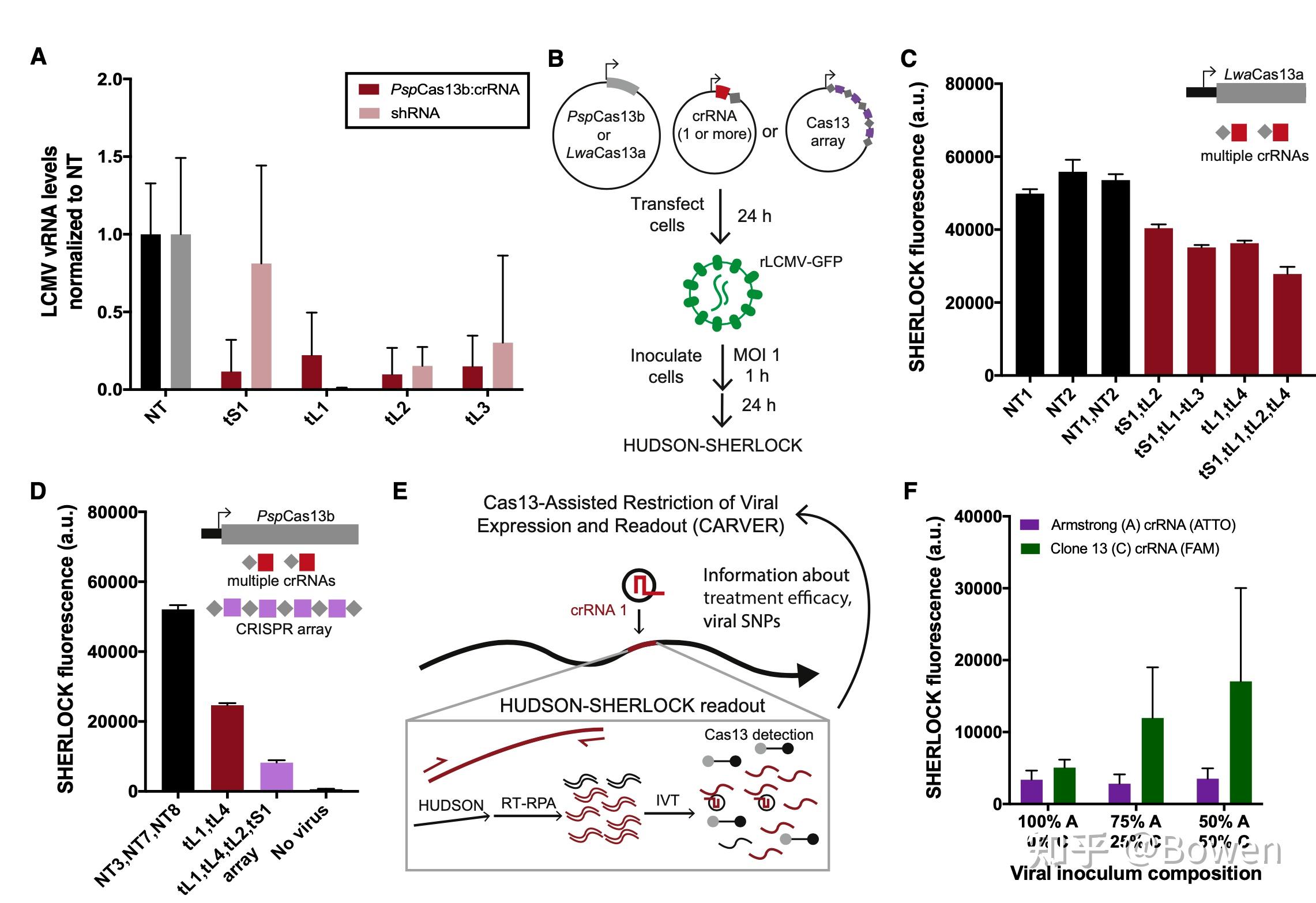 CRISPR-Cas13系统抗病毒应用 - 知乎