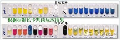 GB 4789.4-2016 沙门氏菌检测过程详解及关键控制点分析 - 知乎