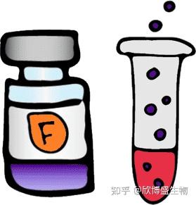 FuGENE® 4K——四步轻松搞定转染 - 知乎