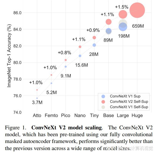 ConvNeXt V2来了！使用MAE共同设计和扩展ConvNet - 知乎