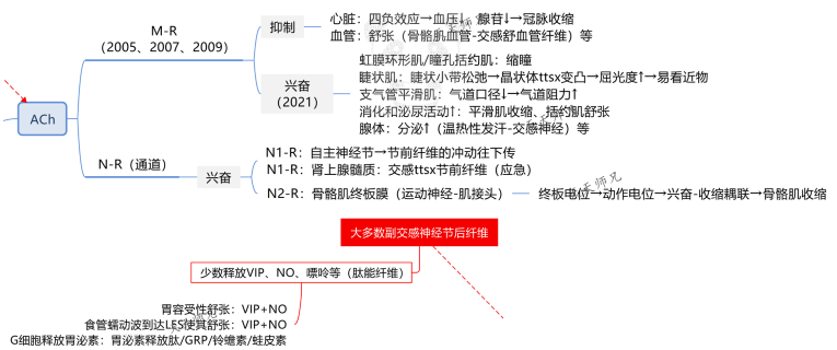自主神经系统理论及其细节（交感+副交感） - 知乎