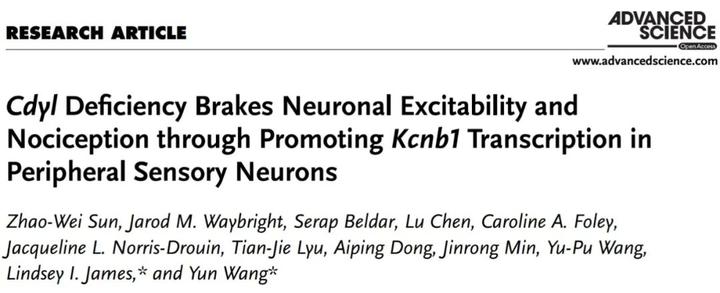 IF=17.521【客户文章】Adv Sci：北京大学基础医学院王韵教授团队揭示痛觉表观调控新机制，并开发新型镇痛药 - 知乎