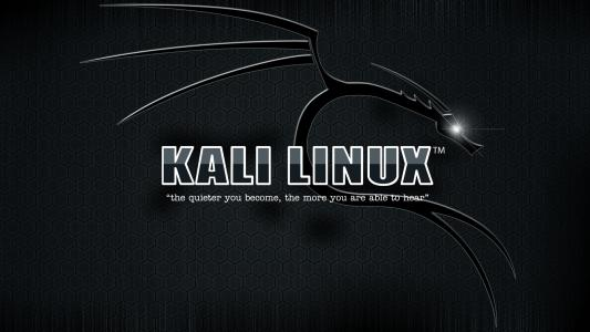 揭秘：黑客必备的Kali Linux是什么，有哪些弊端？ - 知乎