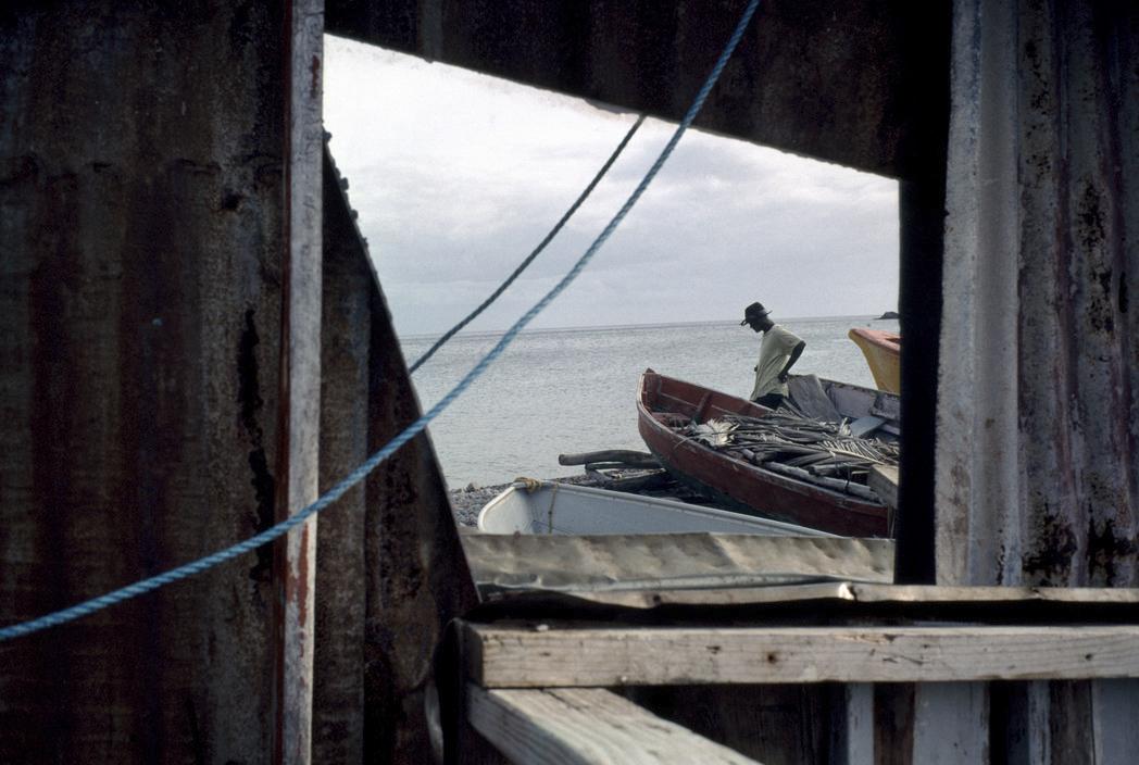 我所知道的摄影师之Alex Webb - 知乎