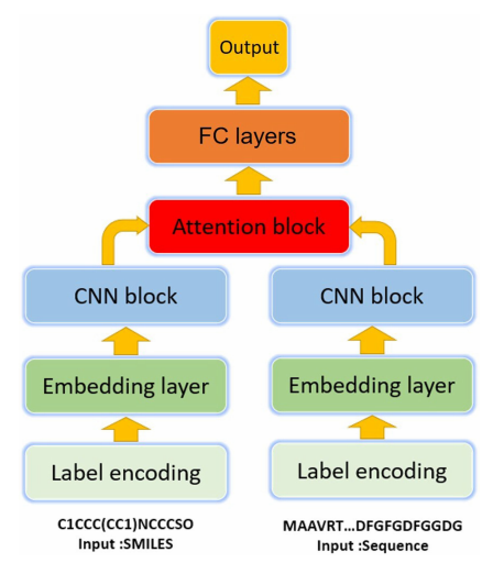 论文笔记5|AttentionDTA Drug–Target Binding Affinity Prediction by Sequence-Based Deep Learning ...