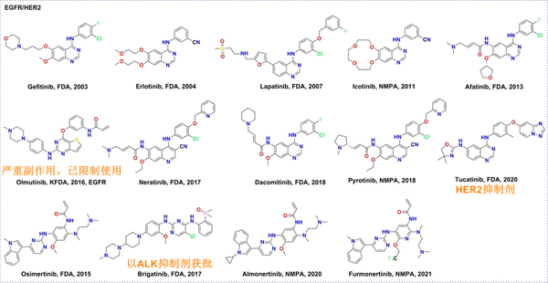 已验证优势骨架, or 新骨架? EGFR 20ins as an example - 知乎