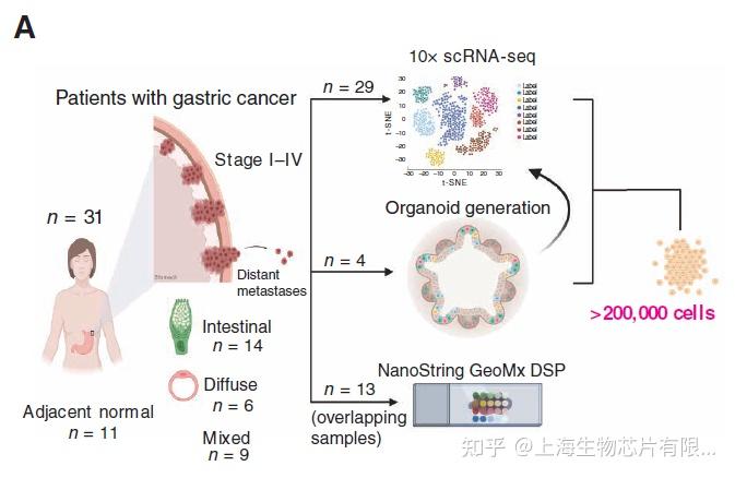 GeoMx® Digital Spatial Profiler（DSP）——探索肿瘤免疫微环境的利器 - 知乎