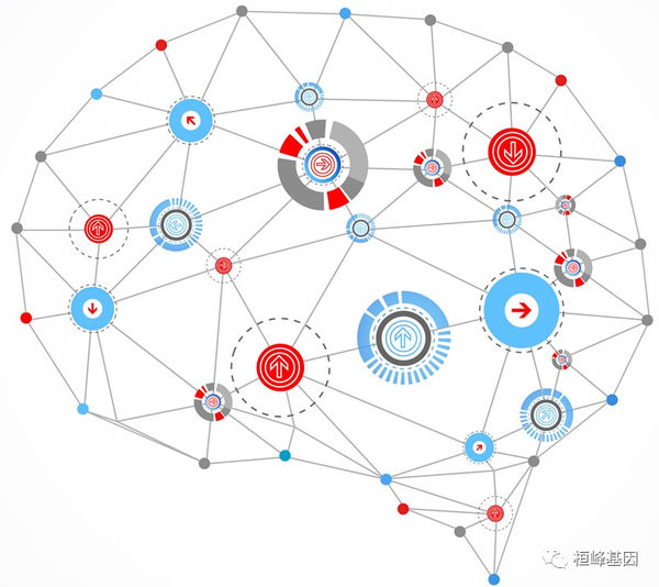 MachineLearning 19. 机器学习之神经网络分类器(NNET) - 知乎