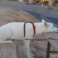 基于Frank Wolfe算法，求解交通分配UE模型（Python & NetWorkX） - 知乎