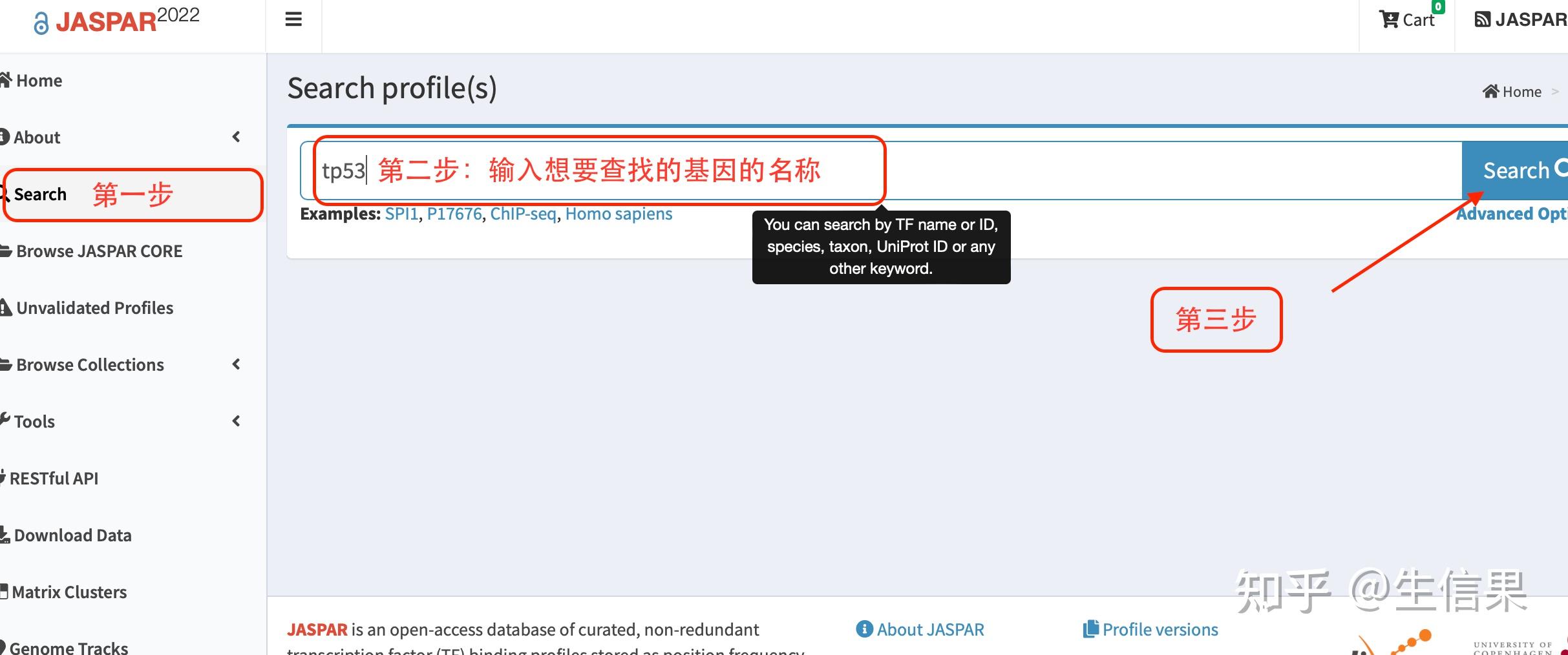 JASPAR——可预测转录因子DNA结合蛋白结合识别位点的数据库 - 知乎