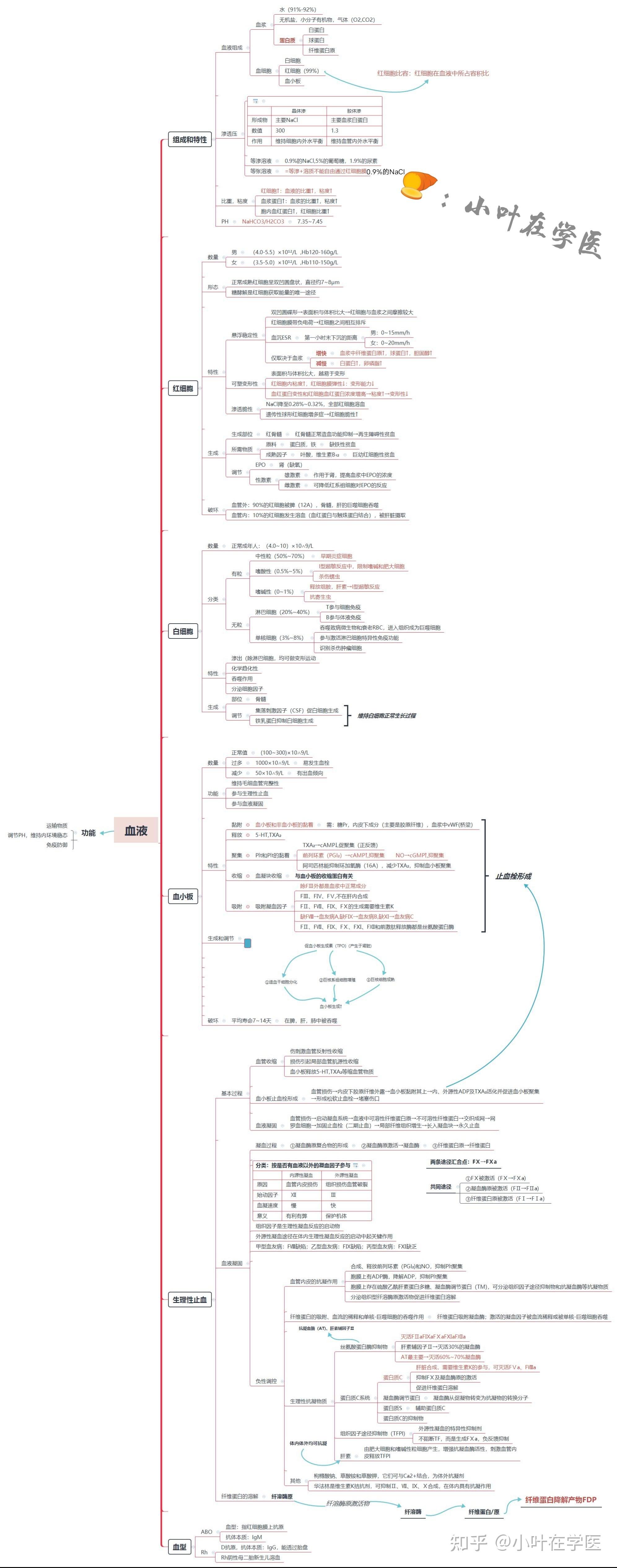 生理学思维导图1-7章 - 知乎
