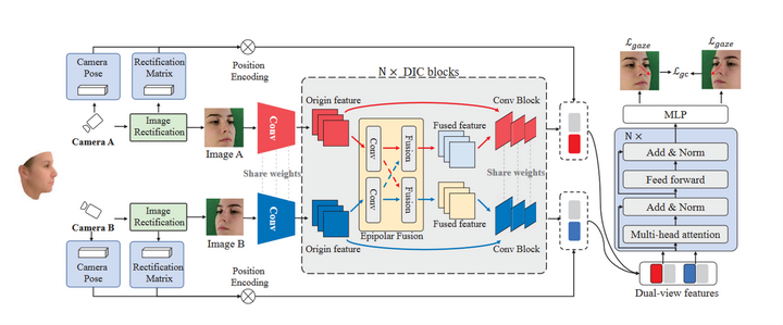 DVGaze: Dual-View Gaze Estimation - 知乎