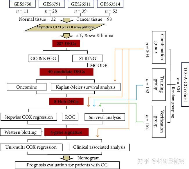图片做好，图例写好，你的SCI论文就成功了一半！不会的看这里！ - 知乎
