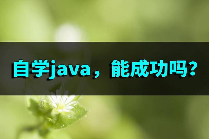自学java，能成功吗？ 知乎