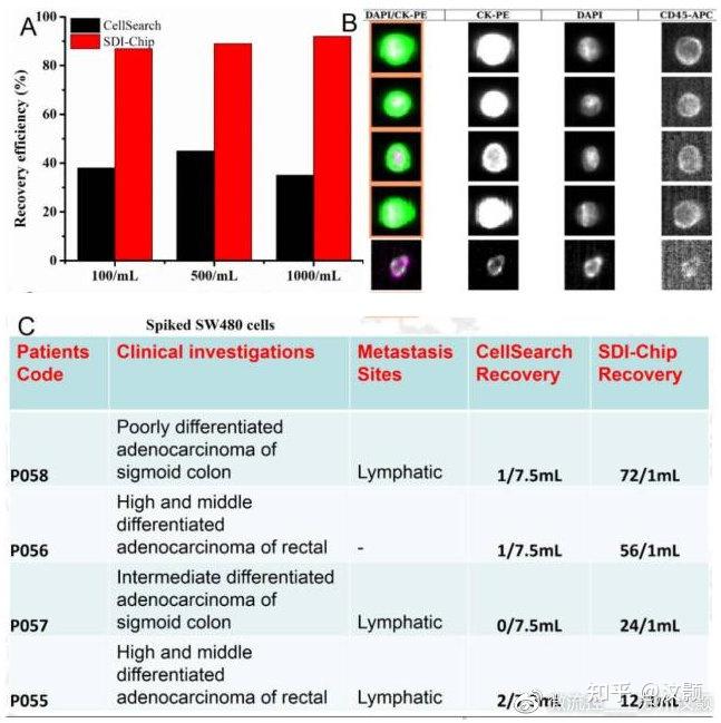 基于微流控芯片技术的CTC检测新方法 - 知乎