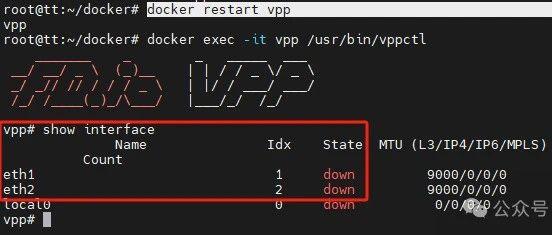 Docker + VPP强强联合：在Docker容器中玩转高性能VPP路由！ - 知乎