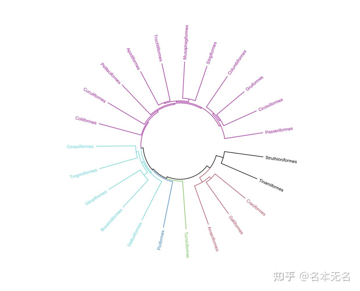 R 数据可视化 —— circlize 复杂图形与图例 - 知乎