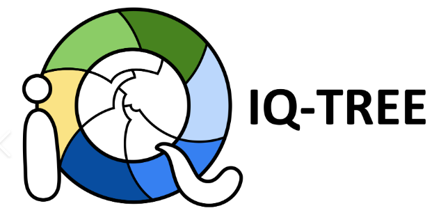 IQtree2操作命令 - 知乎