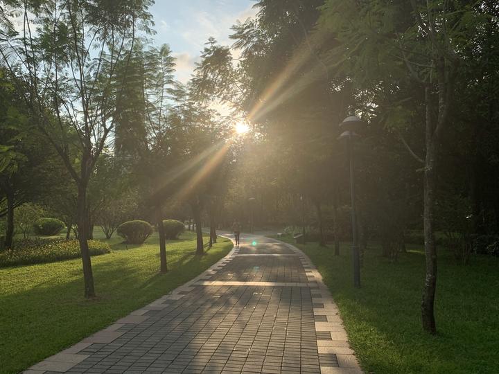 每天一点 C / 一个优雅的字符串函数库(Simple Dynamic Strings) - 知乎