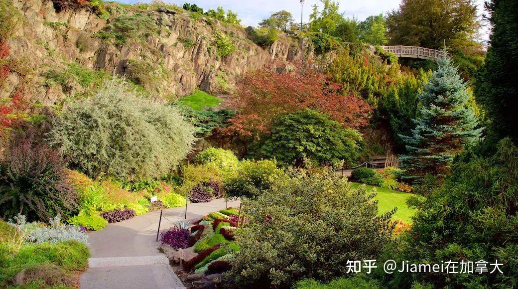 十月赏枫季｜加拿大绝美枫叶景色大盘点！ - 知乎