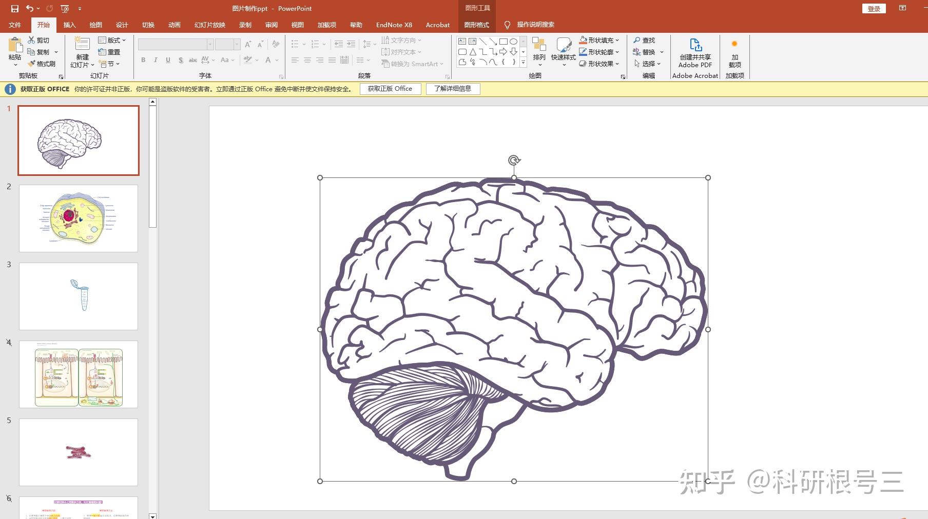 怎么看科研者之家的Figdraw免费在线绘图平台？ - 知乎