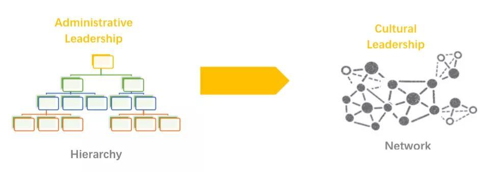 高分获Cognia（原AdvancED）认证，这所国际学校有何硬核实力？ - 知乎