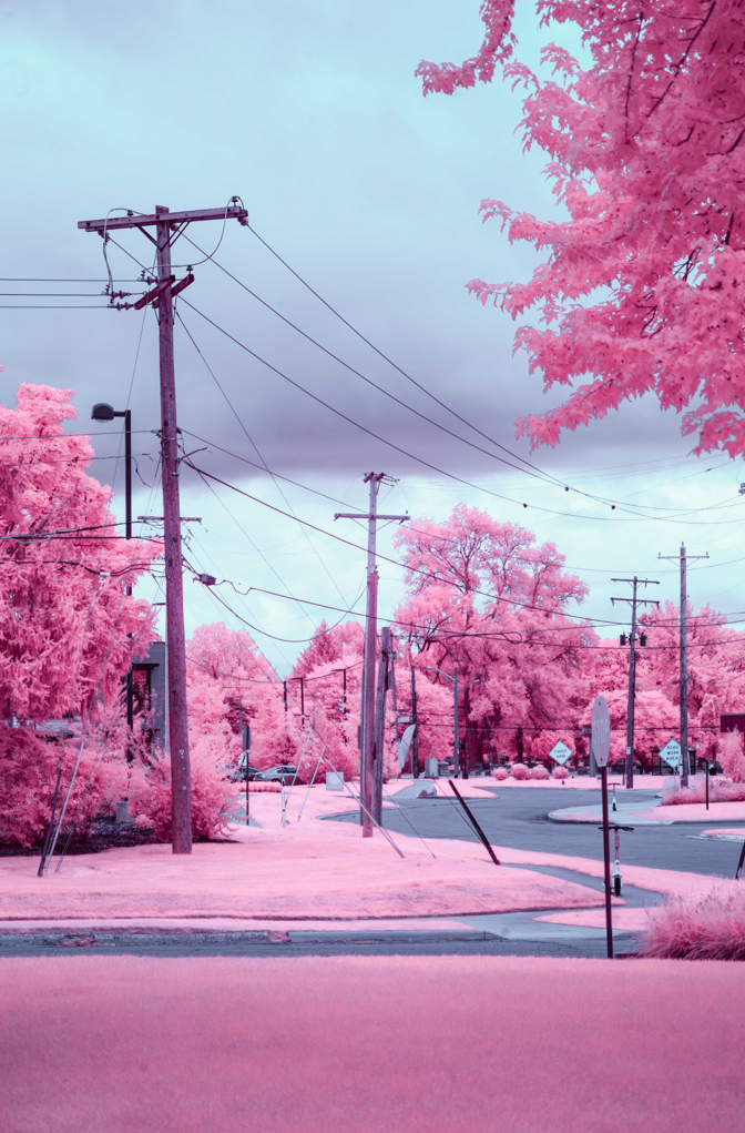 全色照片笔记 - 见鬼的IR Chrome - 知乎