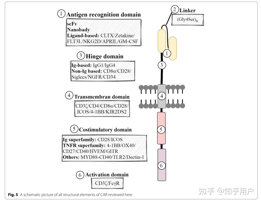 CAR各个模块的总结（包含最近的发现） - 知乎