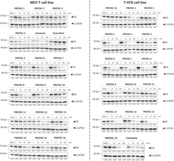 Nat. Commun. | DeepPROTACs: 基于深度学习的PROTACs降解药效预测模型 - 知乎