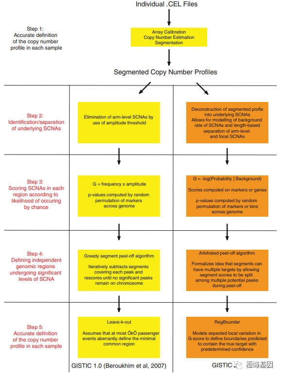 DNA 7. 基因组拷贝数变异分析及可视化 (GISTIC2.0) - 知乎