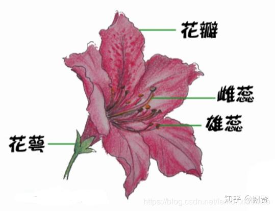 Python—KNN分类算法（详解） - 知乎