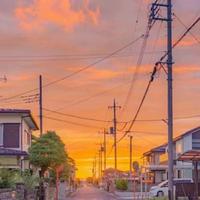 python loss返回nan——判断numpy中的nan - 知乎