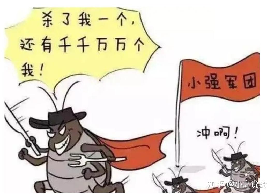 中药、康复新液与美洲大蠊（蟑螂） - 知乎