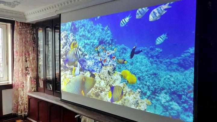 5000价位段坚果J10S是否值得如何？何为原色投影？ - 知乎