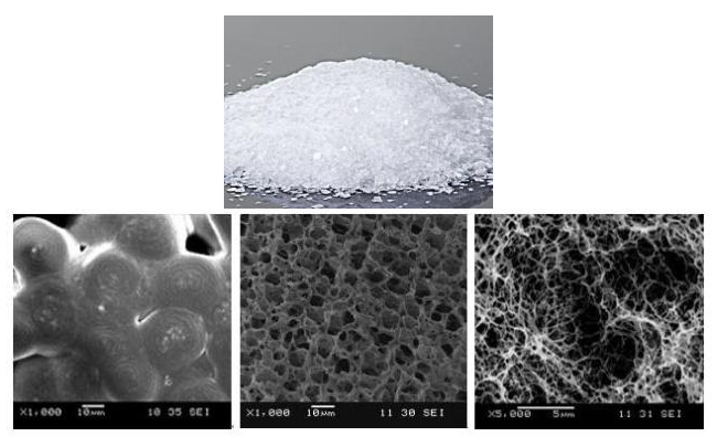 【连载】漫谈PHA（2）从细菌到细胞——PHA的医学组织工程探索 - 知乎