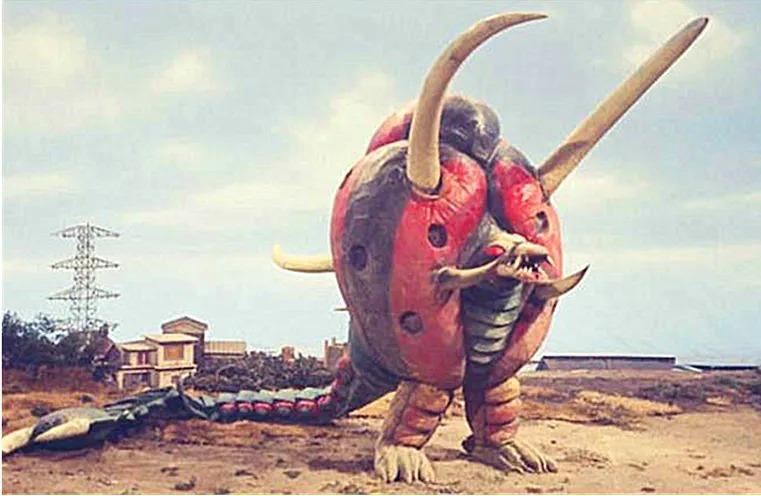 圆盘生物主要种类介绍 - 知乎