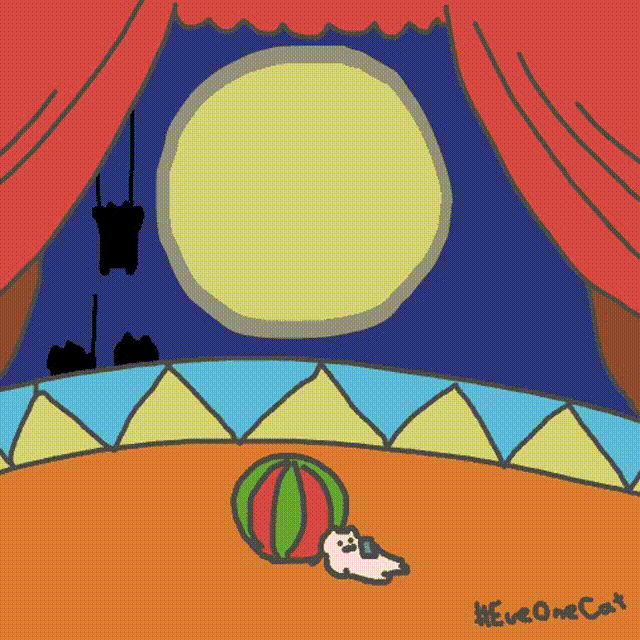 魔性猫猫everyday one cat 表情包 - 知乎