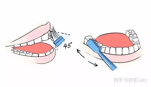 如何正确地刷牙 知乎