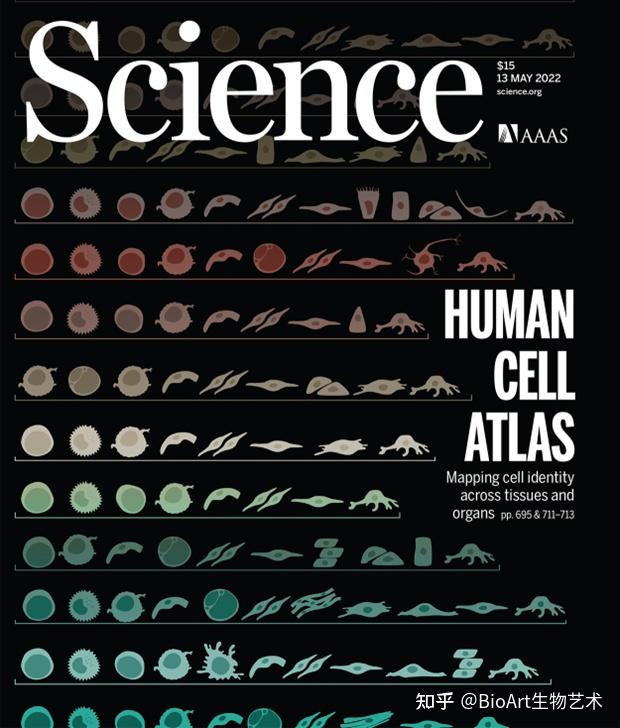 Science发布史上最全细胞图谱 - 知乎