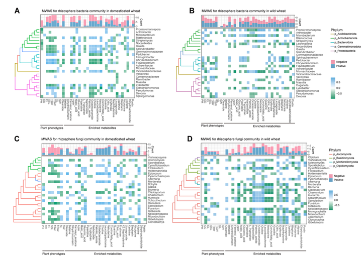 跟着Microbiome学做图｜利用ComplexHeatmap和taxtree包完成物种进化树+复杂热图的组合 - 知乎