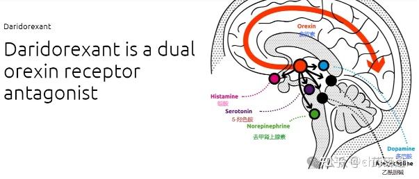先声药业治疗失眠的盐酸达利雷生/Daridorexant的合成路线 - 知乎
