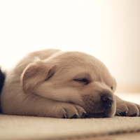 用 TTL 和 TFTP 恢复 ubnt erx 官方固件 - 知乎