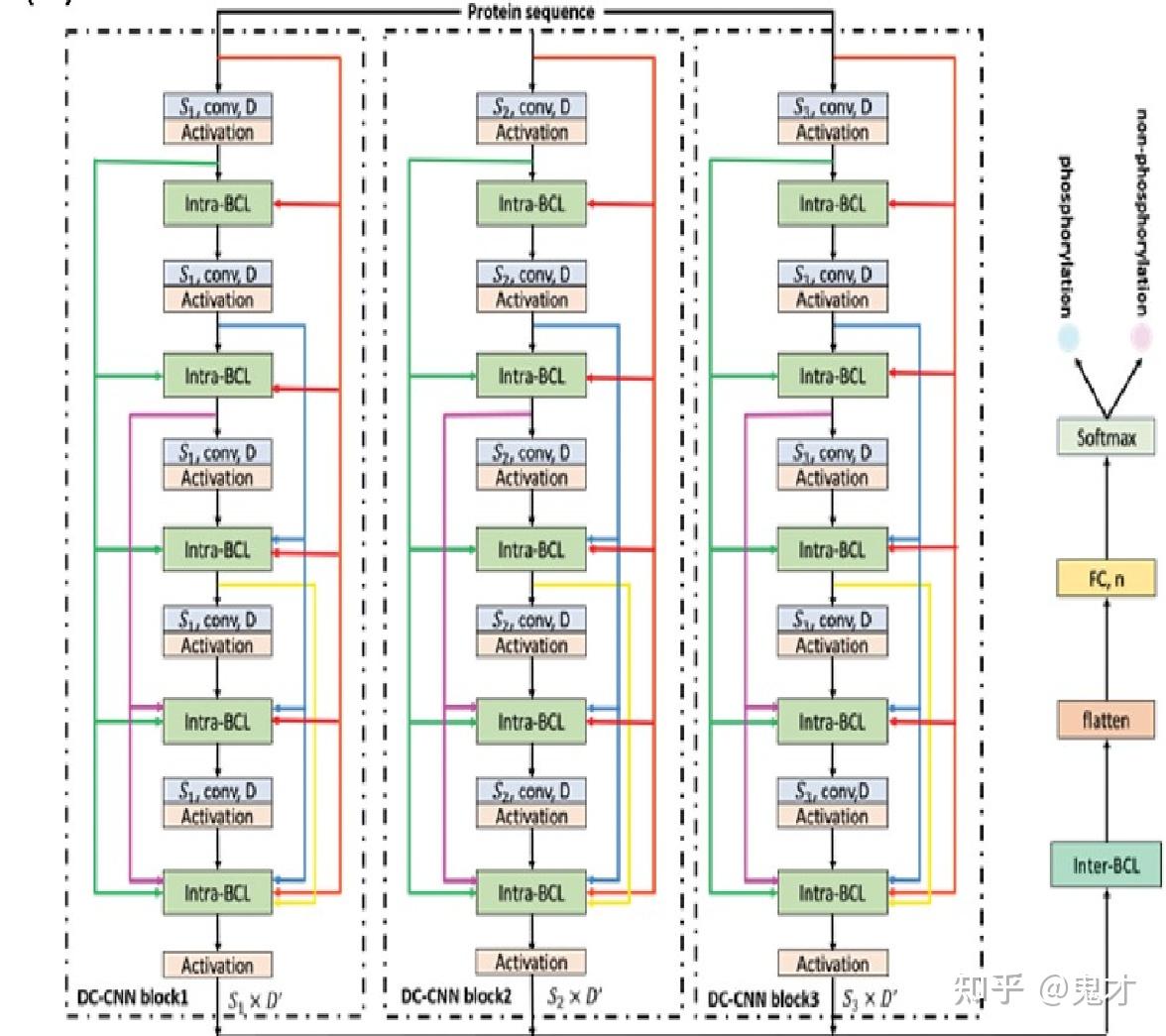 DeepPhos：基于CNN的蛋白质磷酸化位点预测模型 - 知乎