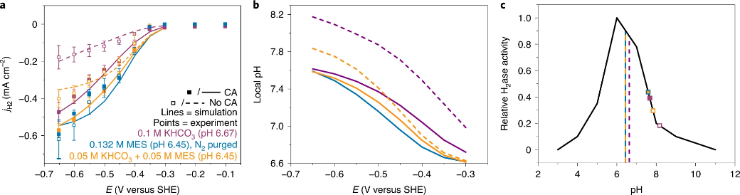 CO2RR最新Nature chemistry：学科交叉，酶促CO2 还原电催化 - 知乎