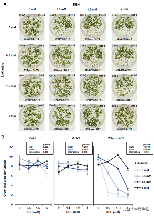 Plant Cell | 研究揭示诱导抗性和植物生长之间的权衡机制！ - 知乎