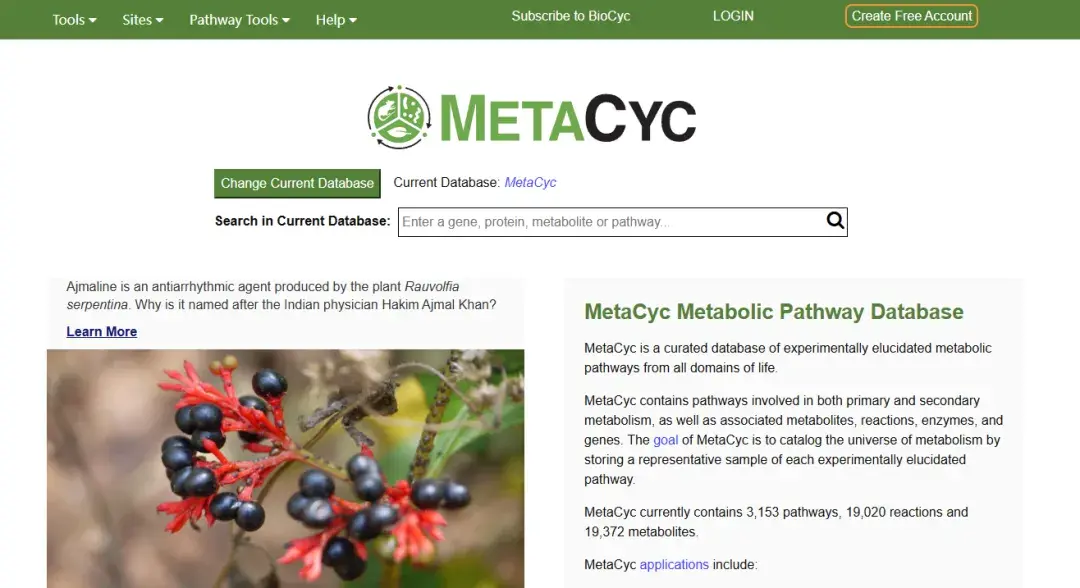 资源集锦！代谢研究必掌握TOP级数据库，助力科研新发现 - 知乎