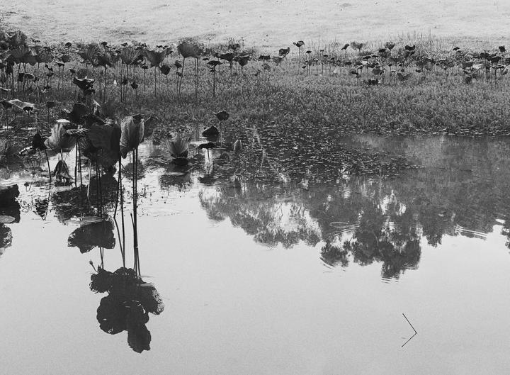 Decorate functions - 知乎