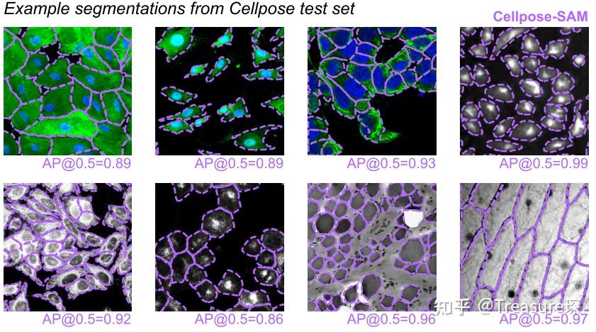 Cellpose 4.0的安装和使用 - 知乎