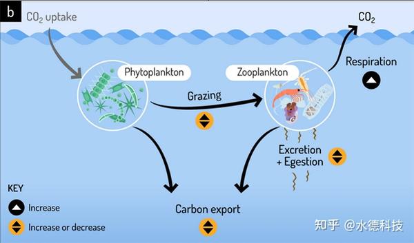 《Nature》综述：UVP6在海洋浮游动物监测和建模中的应用 - 知乎